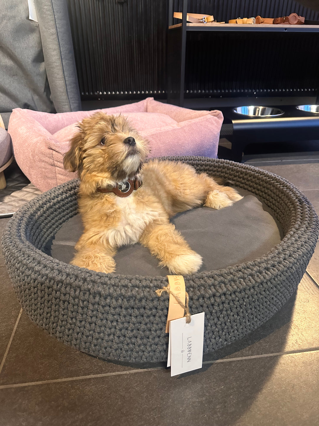 Ólar & Taumar – PETRIA